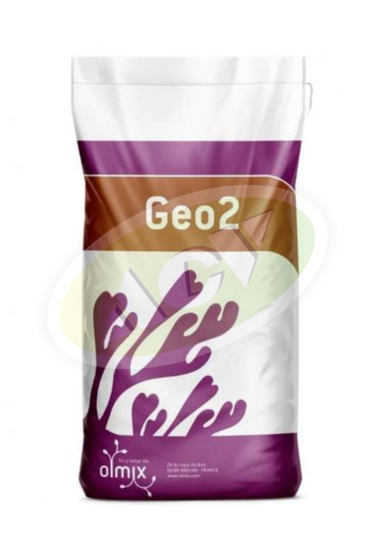 GEO2 25/1
