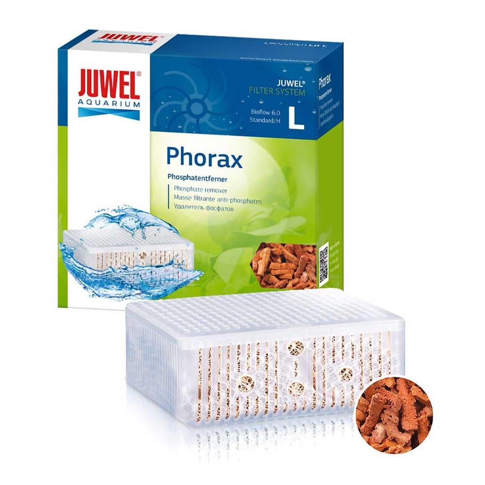 Juwel phorax