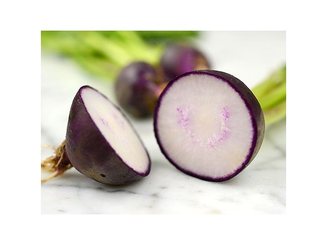 Rotkva lilavo (50 semenki) Malaga purple