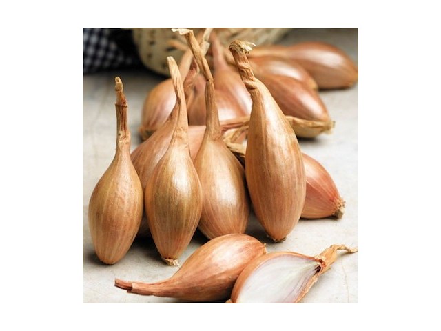 Crni luk - Zebrune (500 semenki) 2gr.