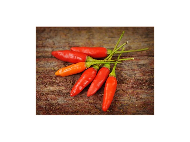 Chilli Tabasco (50 semenki)