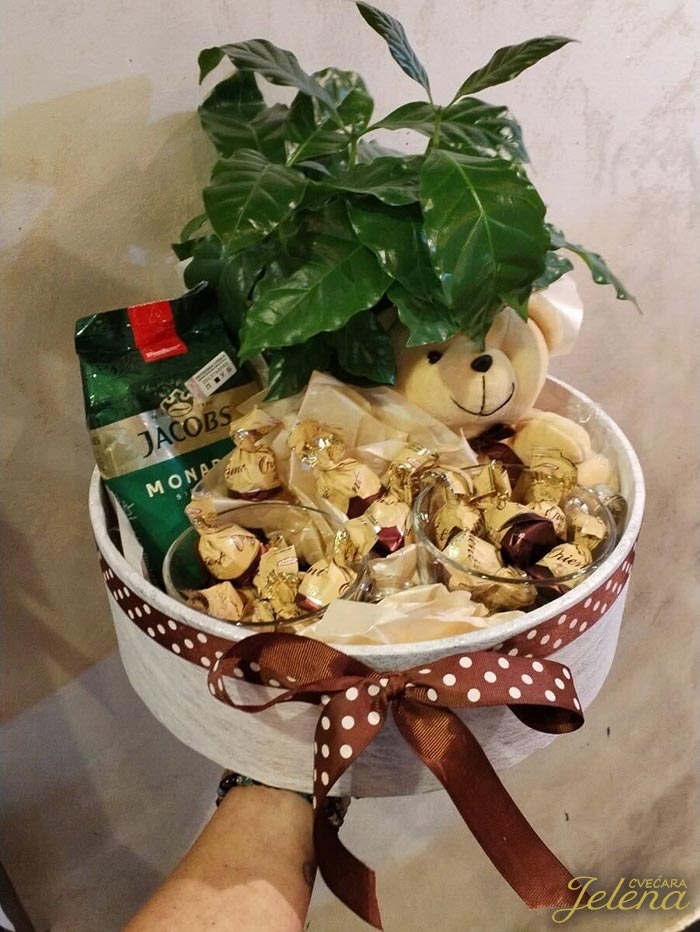 Kutija sa slatkišima i biljkom