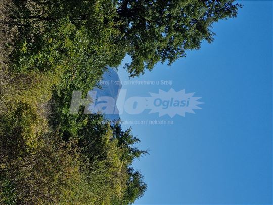 Zemljište nadomak izvora Crnog Timoka