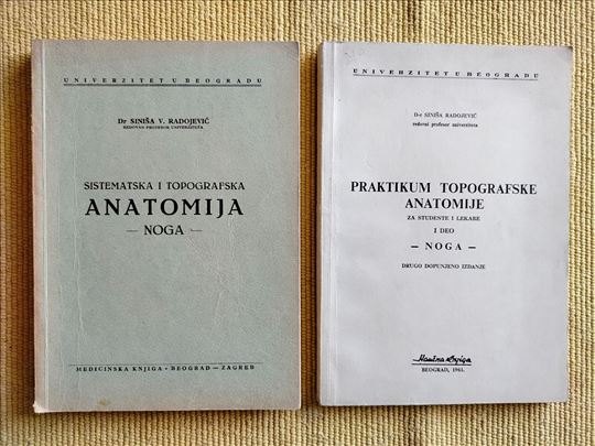 Anatomija Noga + Praktikum