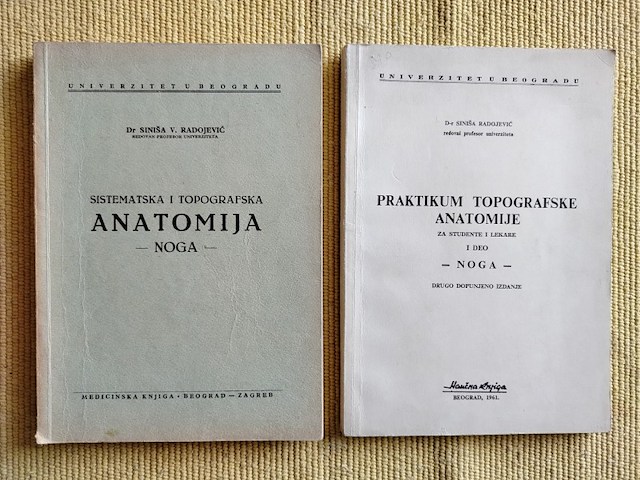 Anatomija Noga  + Praktikum