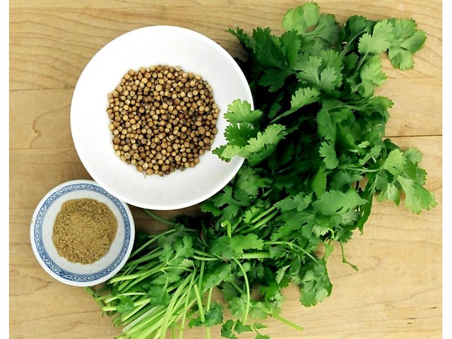Korijander - Coriander Sativum (500 semenki)