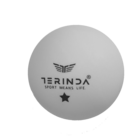 LOPTICE ZA STONI TENIS TERINDA TABLE TENNIS BALL ONE STAR 6/1