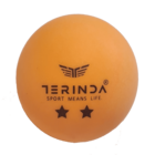 LOPTICE ZA STONI TENIS TERINDA TABLE TENNIS BALL TWO STAR 6/1
