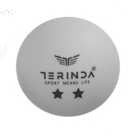 LOPTICE ZA STONI TENIS TERINDA TABLE TENNIS BALL TWO STAR 6/1