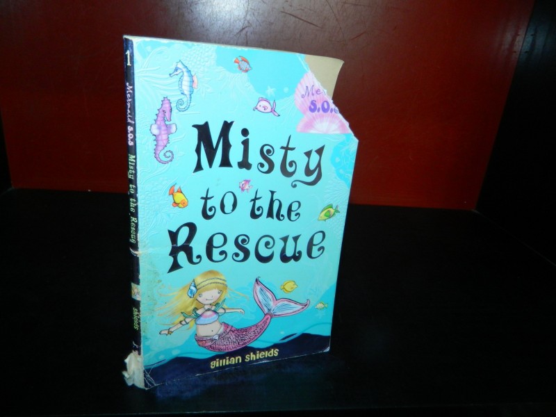 Misty to the Rescue, Gillian Shields
