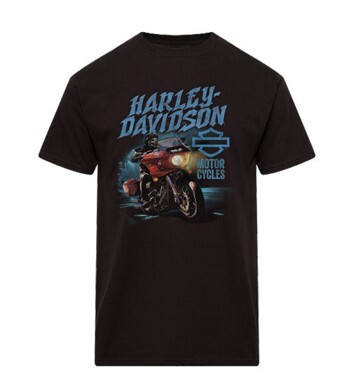 MUSKA MAJICA HARLEY-DAVIDSON SRBIJA 40294706