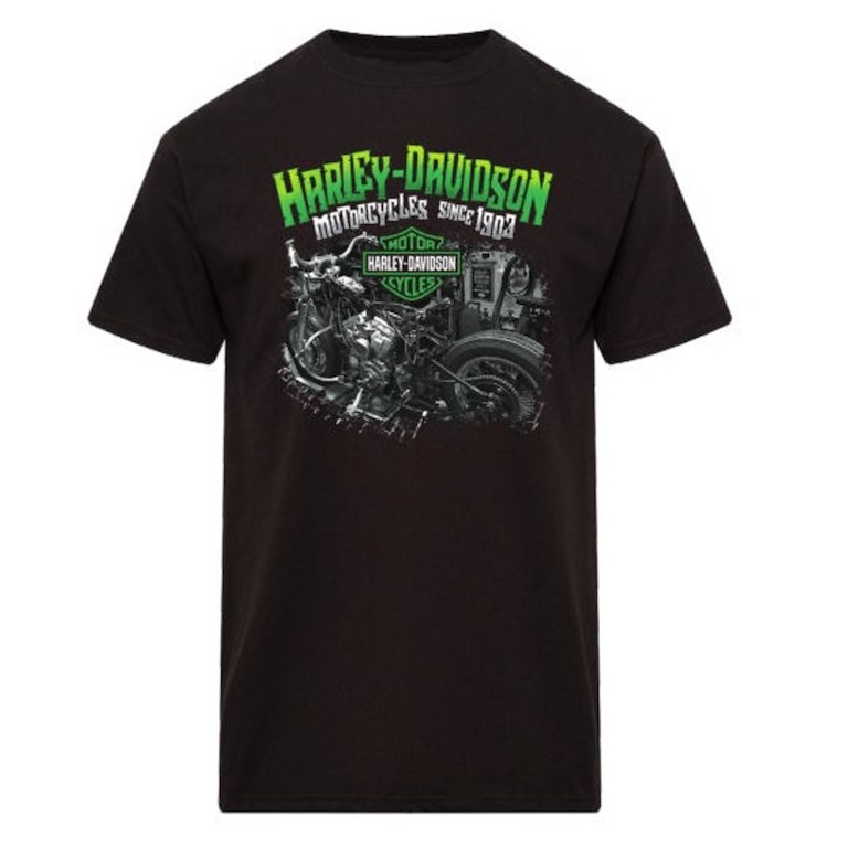 MUSKA MAJICA HARLEY-DAVIDSON SRBIJA 40294700