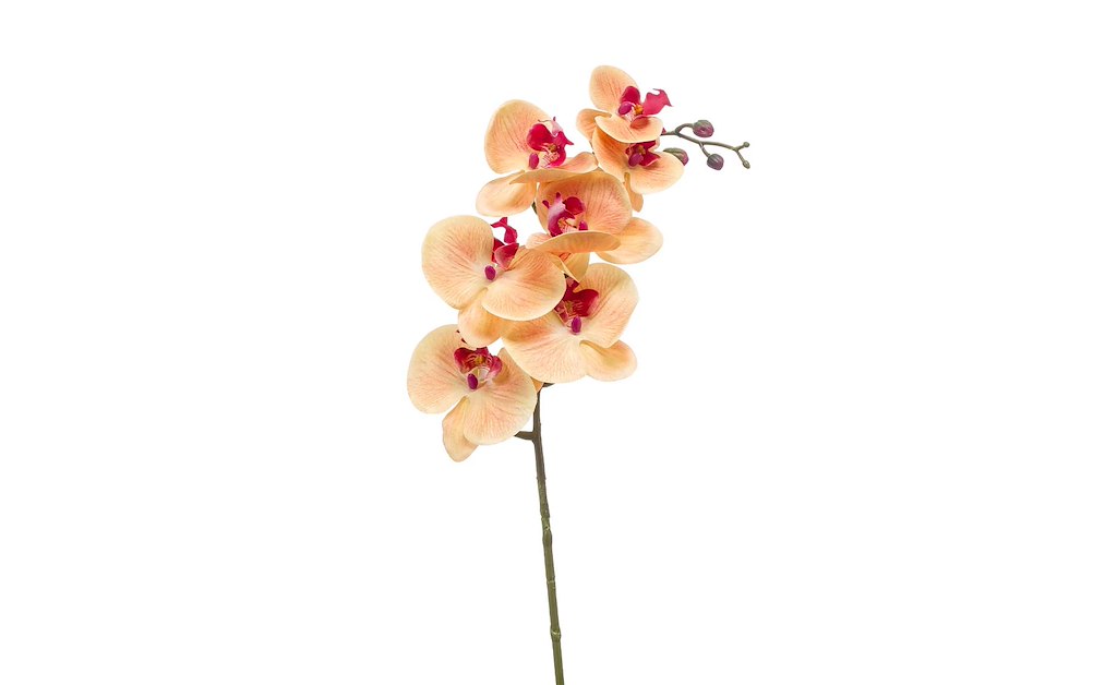 Veštački cvet Phalaenopsis 83 cm