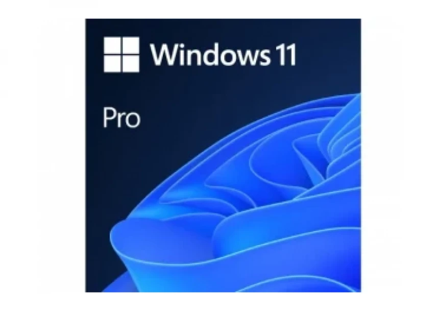 Microsoft Windows 11 Professional 64Bit Eng Intl 1pk DSP OEI DVD (22H2)