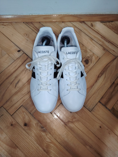 Lacoste muške patike br. 43
