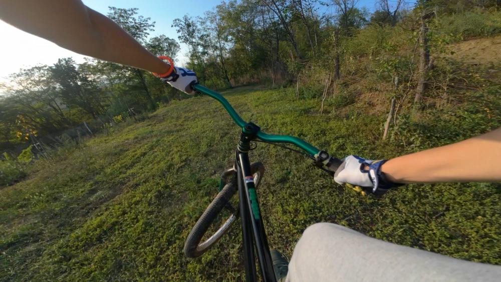 Freeride NS Bikes Dirt Jumper