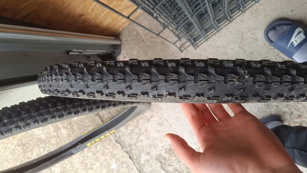Maxxis ardent race