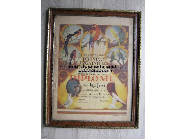 Petrovgrad - Dekorativna diploma ( 1935 ) OPIS !