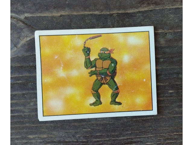 SLICICA TURTLES NIDZA KORNJACE 37