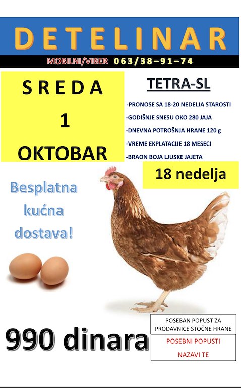 Koke nosilje pred pronos