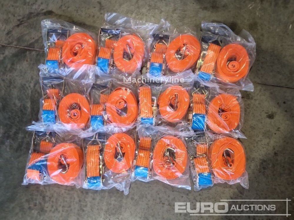 Prodaje se 3Ton 8m Ratchet Strap (12of) sajlu za podizanje na aukciji