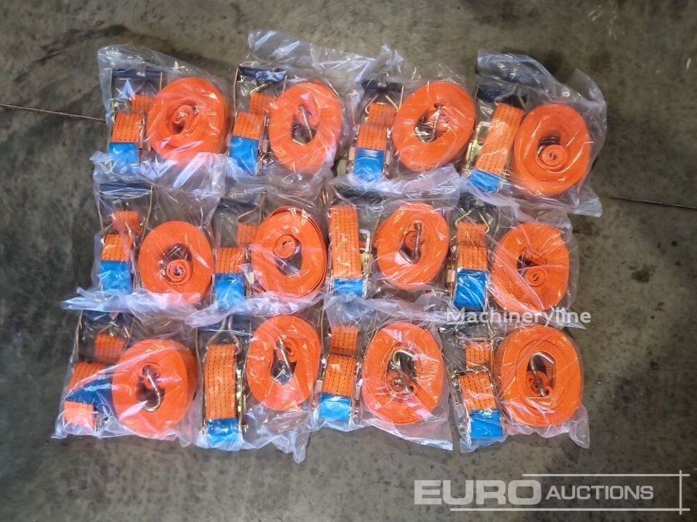 Prodaje se 3Ton 8m Ratchet Strap (12of) sajlu za podizanje na aukciji