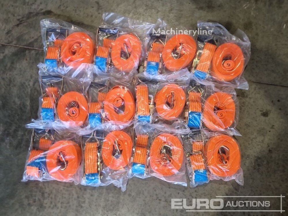 Prodaje se 3Ton 8m Ratchet Strap (12of) sajlu za podizanje na aukciji