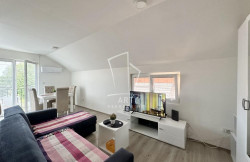 Krnjača, dobra investicija, 29m2 ID#12355