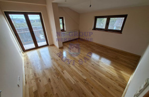 Prodajem Kuću, Budisava