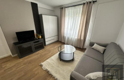 Kompletno renovirana i nameštena garsonjera!