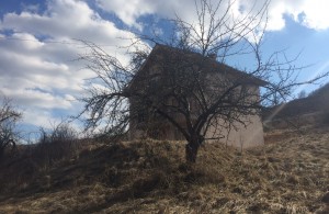 Prodajem Kuću, Gradinje