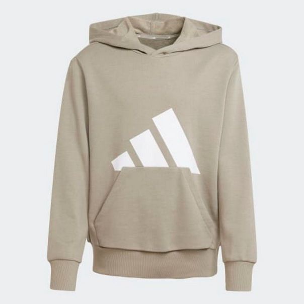 ADIDAS Duks sa kapuljačom essentials hoodie kids BP