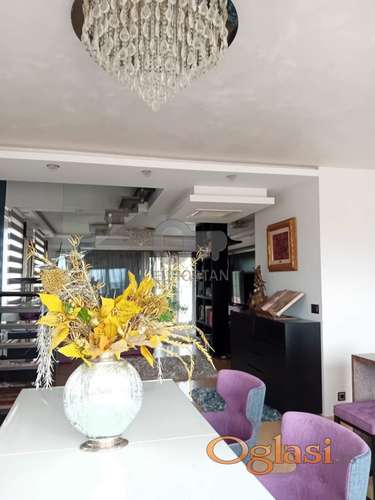 Miloša Zečevića Lion ID#43907