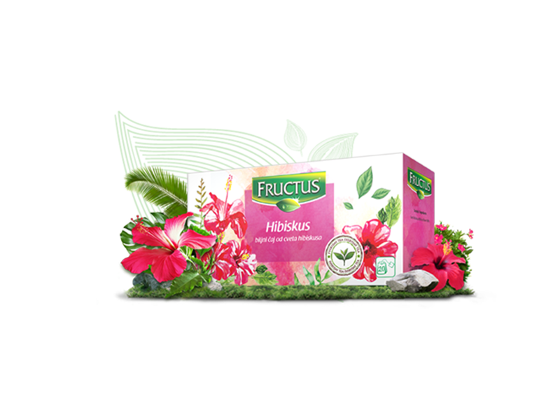 ČAJ HIBISKUS- Everyday 30g(20x1,5g) - FRUCTUS