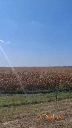 Građevinsko Zemljište Pećinci 65ar, HITNO!