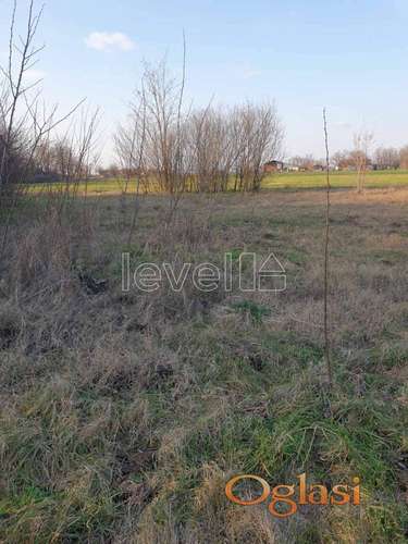 BAČKA TOPOLA - GUNAROŠ - 14581.00 m2