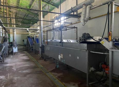 Mašina za sečenje, pranje i blanširanje povrća i voća Cemnaz(Turkish) Potato Production Facility