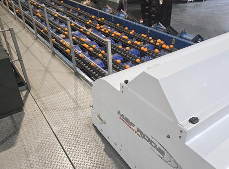 MAF RODA Voćna linija Verified seller