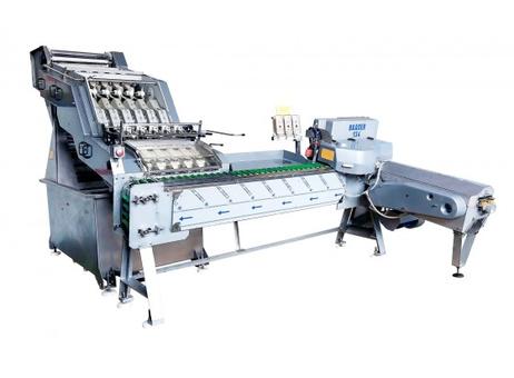 Skinning BAADER 134 Najprodavaniji
