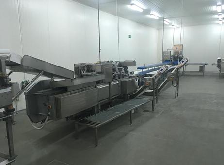 Marel, Baader, Carnitech, Multivac, Fomaco Salmon Processing Line Verified seller
