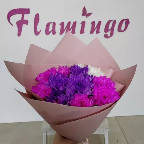 CVEĆARA - FLAMINGO