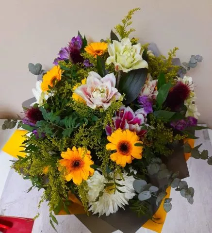 CVEĆARA - GIRASOLE