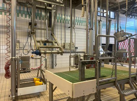 Baroncini, it Complete Cattle slaughter line Verified seller