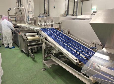 VC99 Multivac linija za sečenje Verified seller