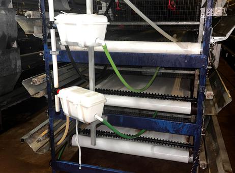 Tecno Rearing cages