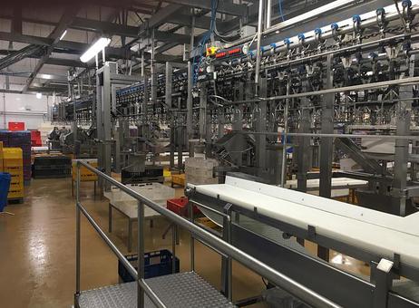 Linco Proflex Verified seller