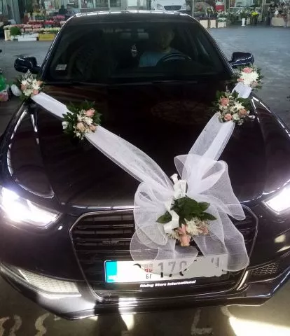 KIĆENJE AUTOMOBILA 635