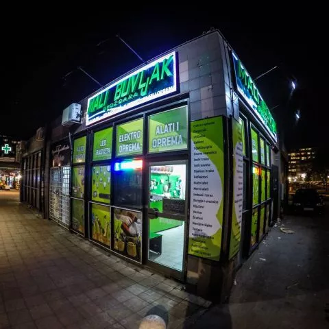 GVOŽĐARA MALI BUVLJAK