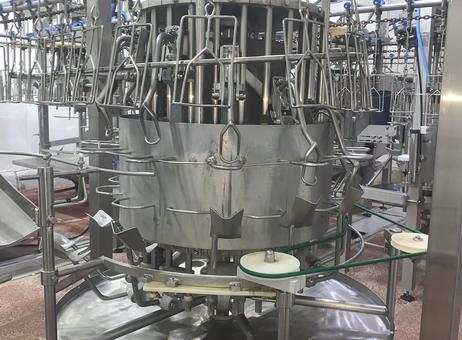 Renovirana Linco automatska linija za evisceraciju 3000 ptica/sat. Verified seller
