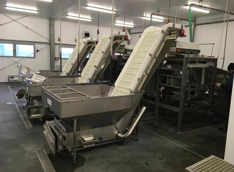 Peruza/Arenco Pelagic fish processing line Verified seller